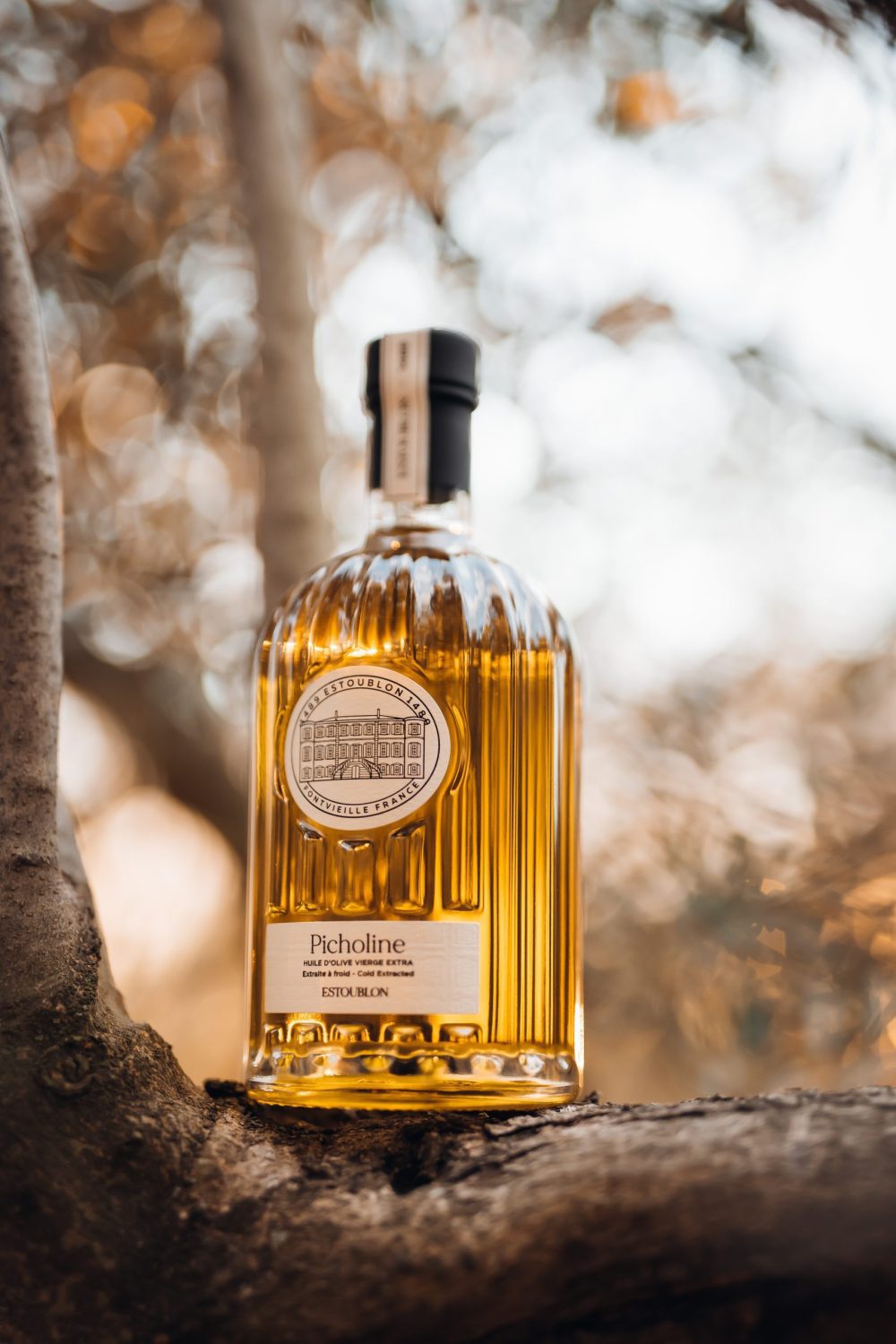 Picholine – Huile d’Olive Vierge Extra